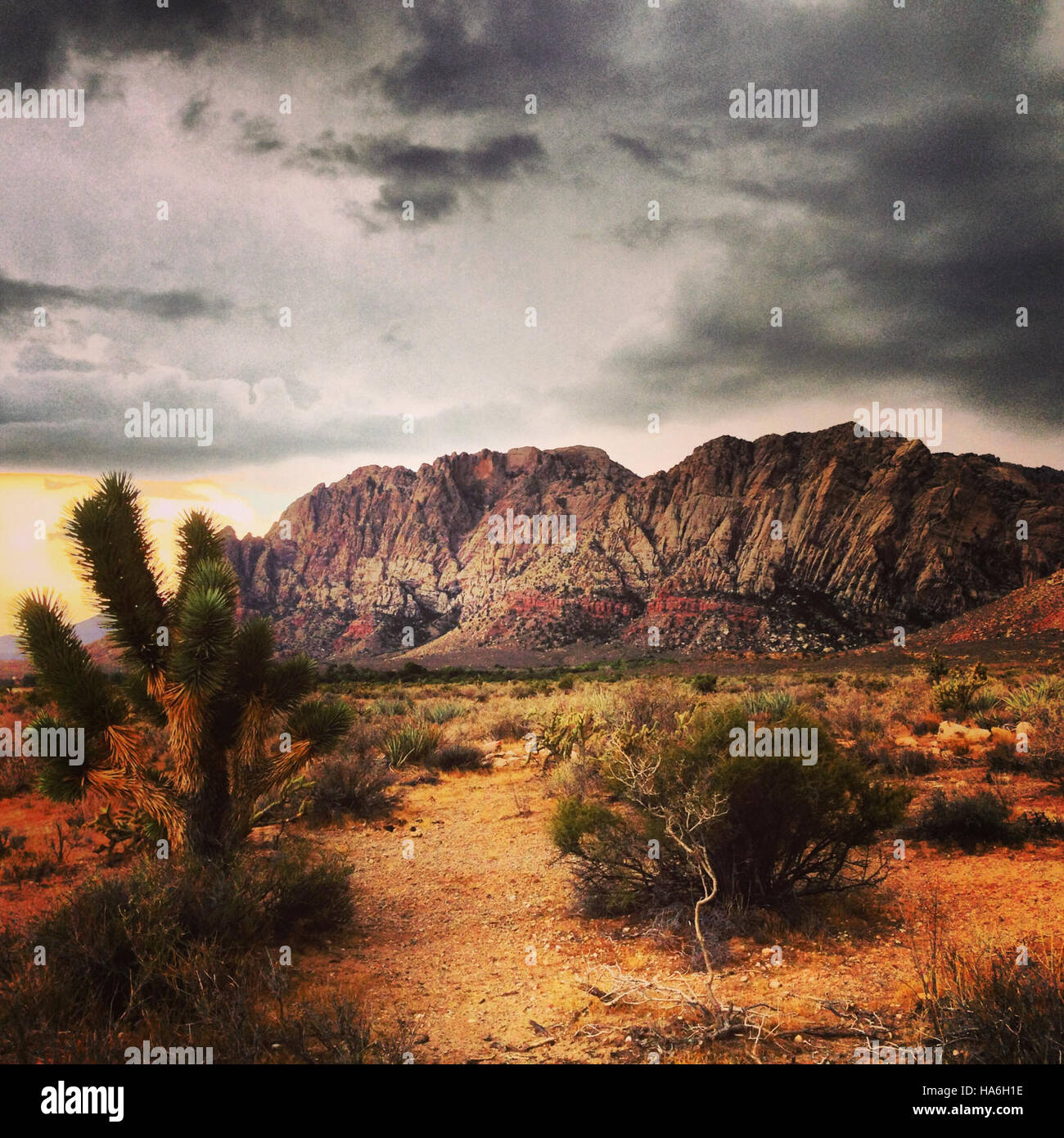 This image captures a scene from public lands in Nevada, showcasing the ...