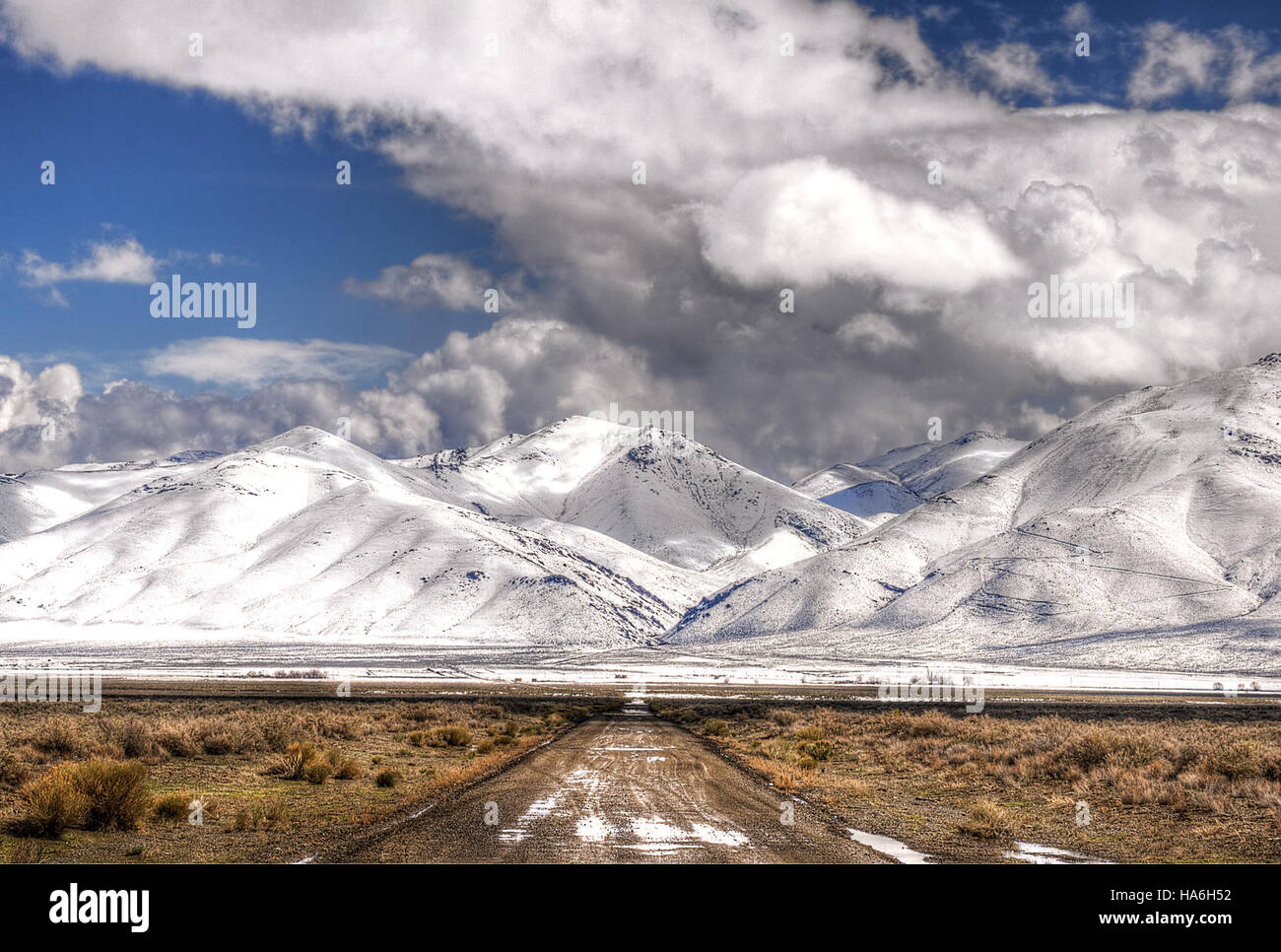 The road leading to the Shoshone Mountains in Nevada offers a scenic ...