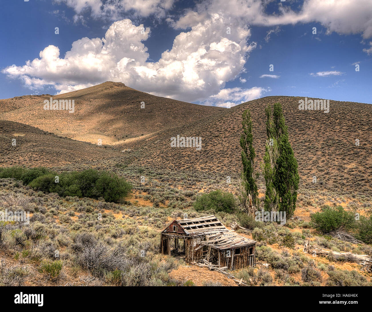 Galena Ghost Town, located in Nevada, represents the history of mining ...
