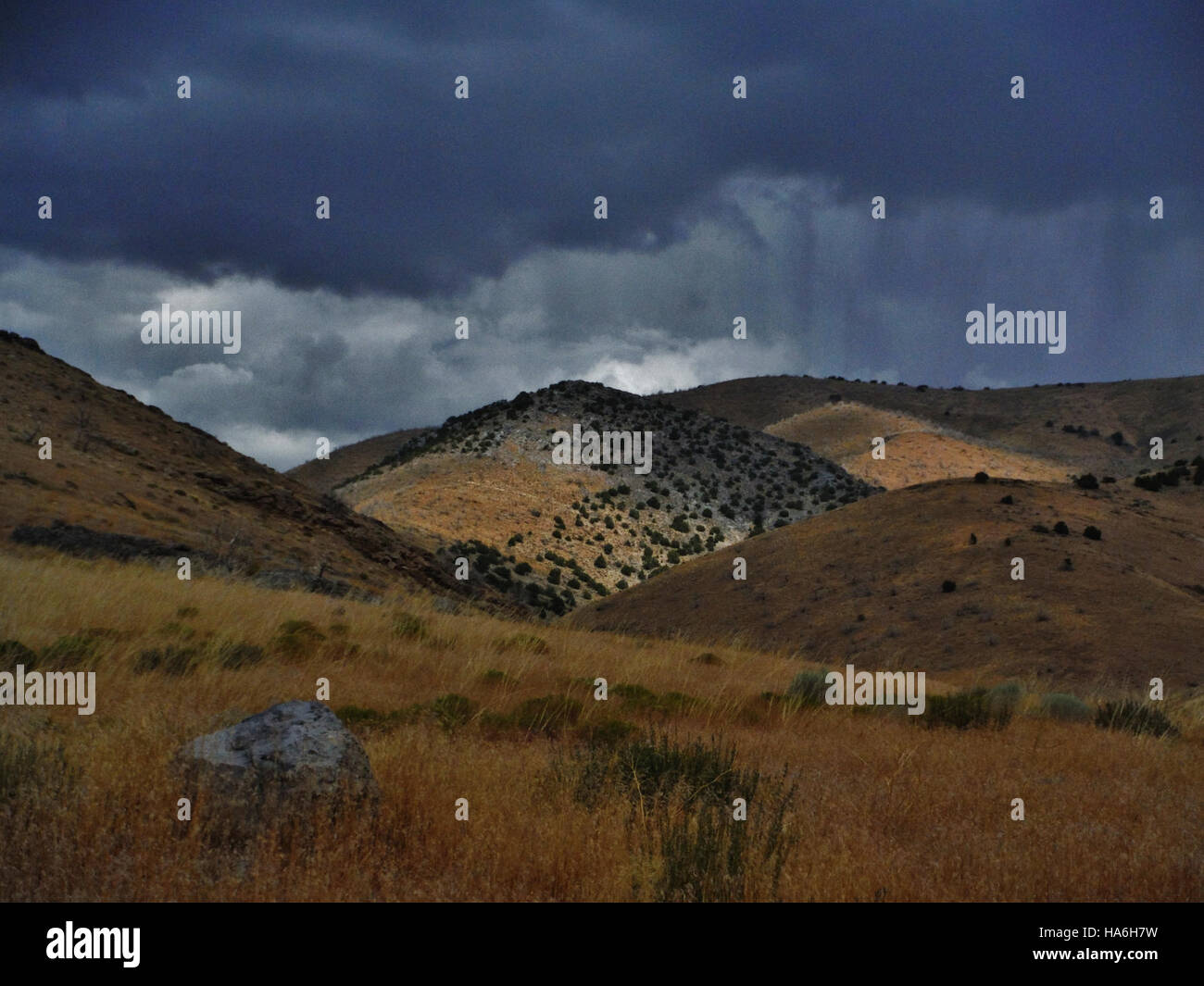 The Bureau of Land Management oversees land management practices in ...