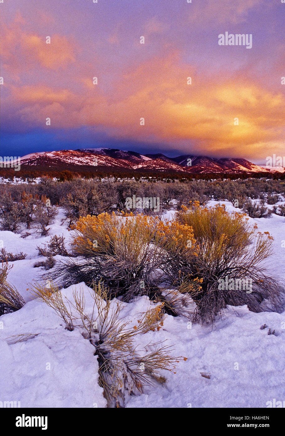 The Egan Range in Nevada, with its sagebrush ecosystem, serves as a ...