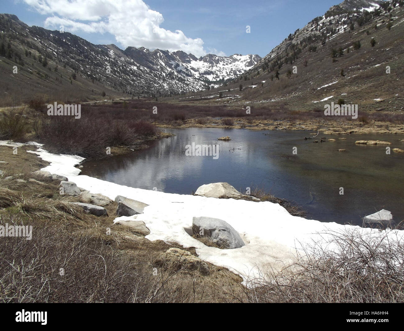 Diverse ecosystem forest in canyon hi-res stock photography and images ...