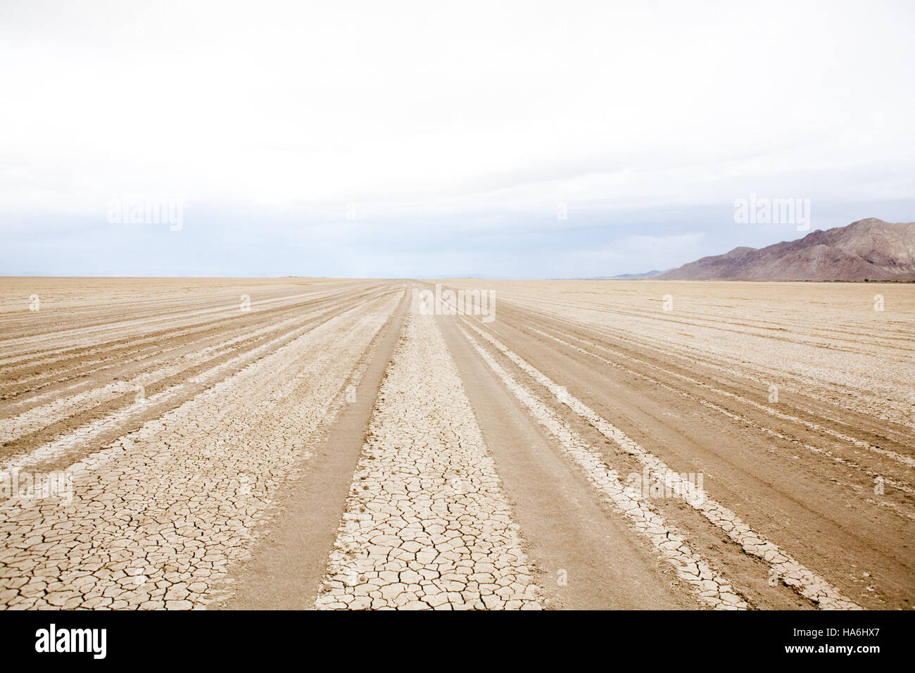 This image captures the vast, open road across Nevada, symbolizing the ...
