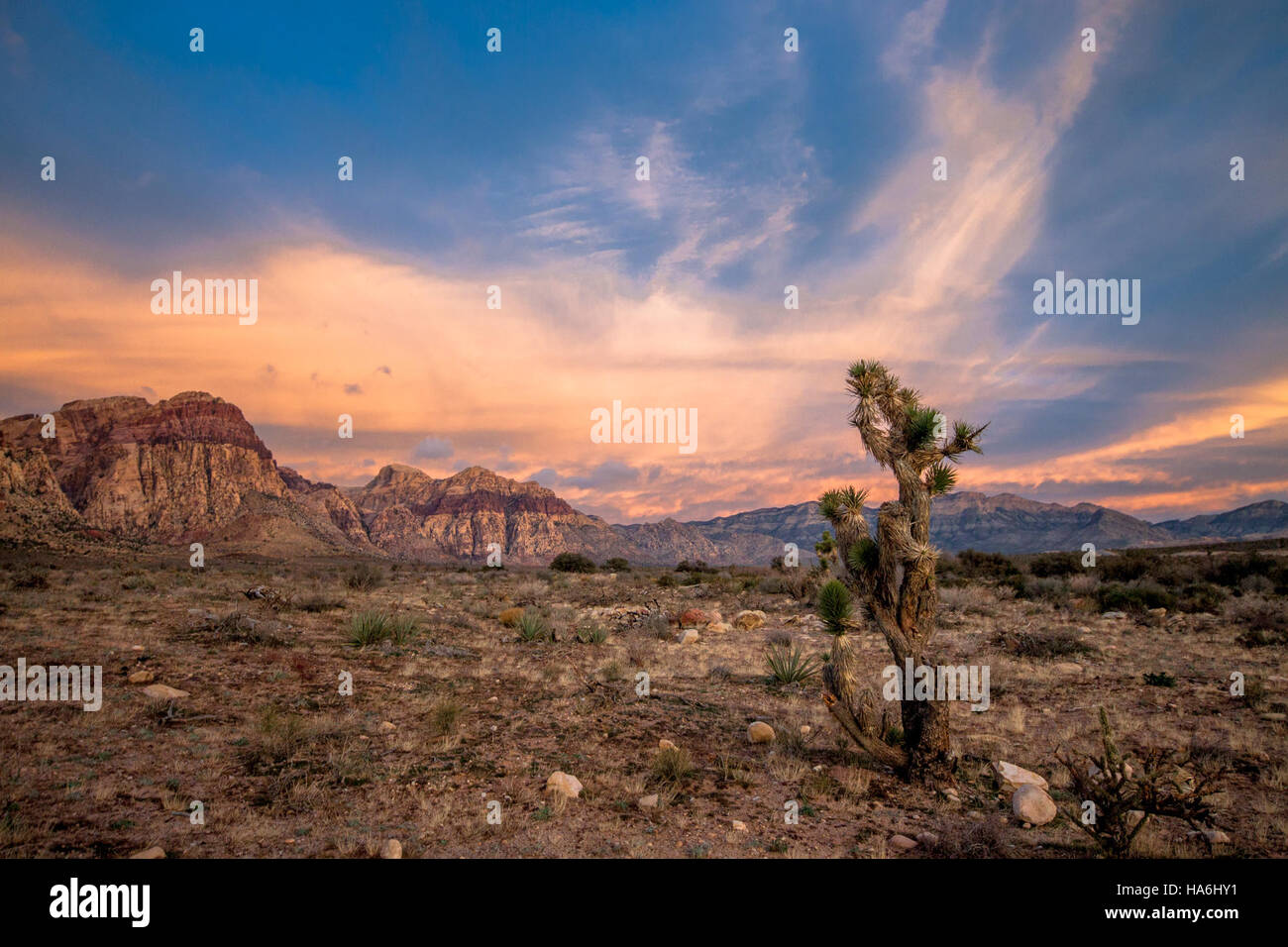 This image captures a serene sunrise in Nevada’s Bureau of Land ...
