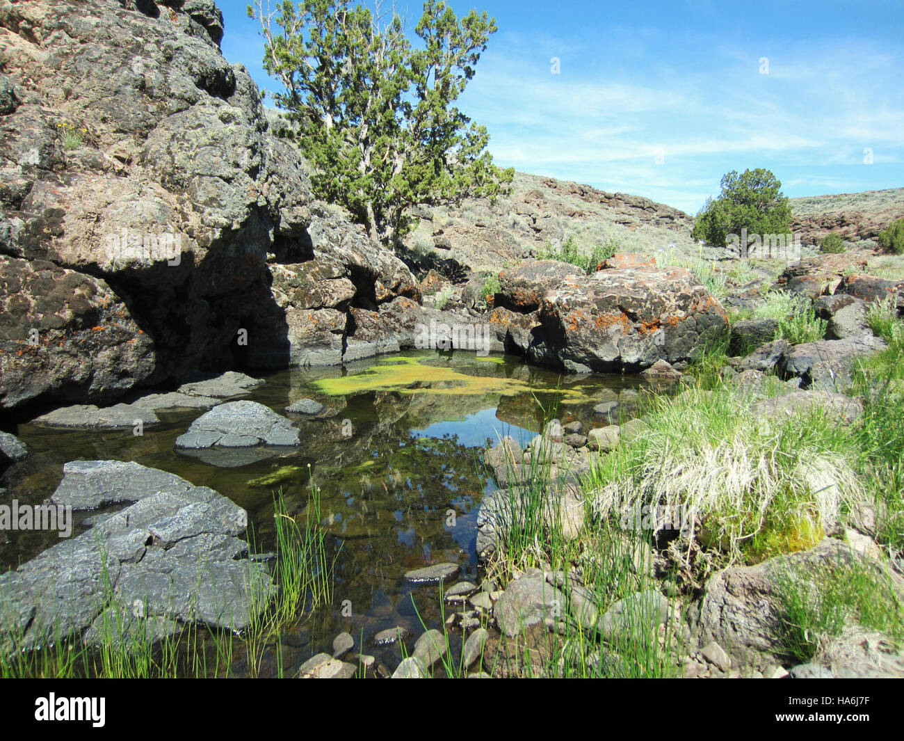 The Sheldon Contiguous Wilderness Study Area (WSA) and Surprise ...