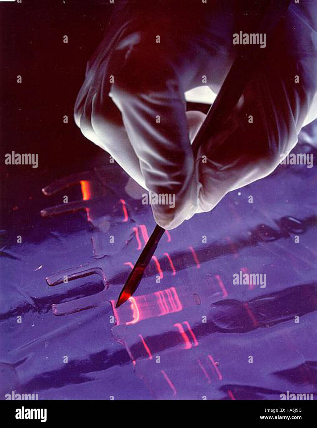 002 025 hi-res stock photography and images - Alamy