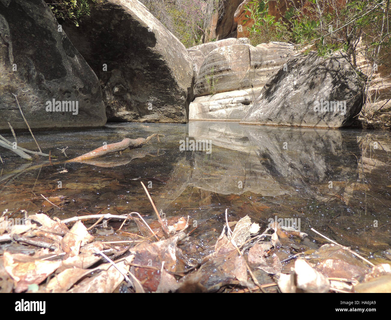 A breathtaking aerial view of Fern Canyon in Nevada, showing the unique ...