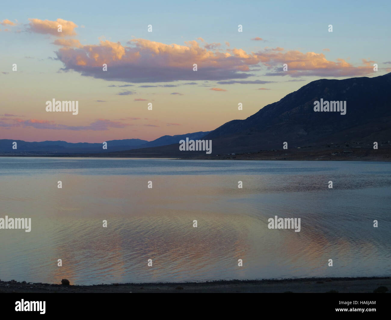 Walker Lake in Nevada is a critical natural resource, where efforts ...