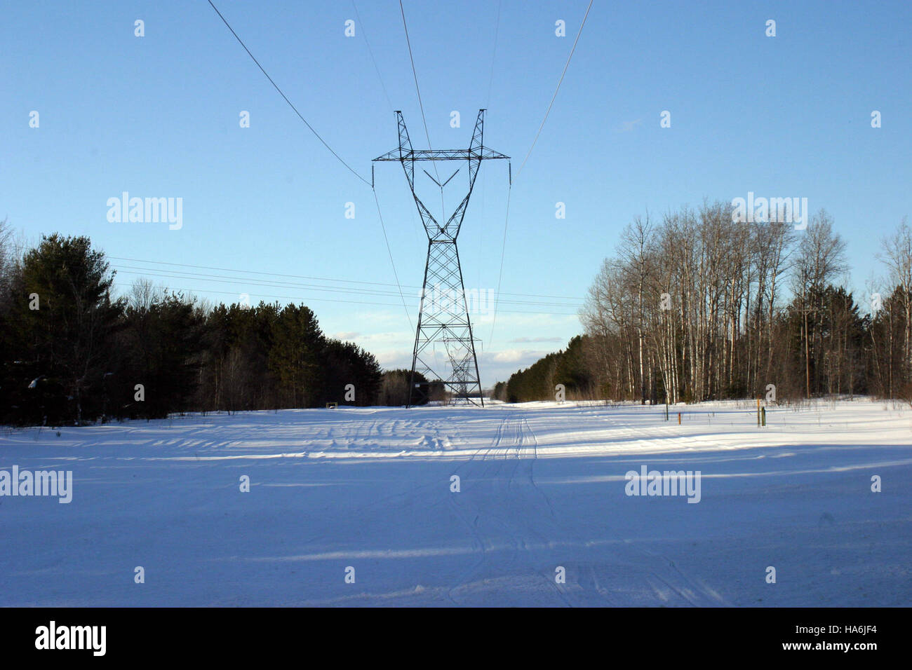 The power grid in Michigan is under examination by Tim Ford, focusing ...