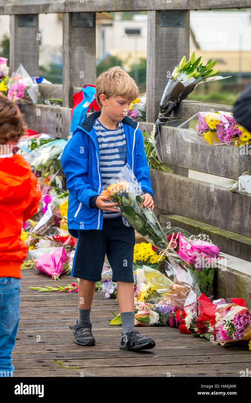 The scene on Shoreham Old Toll Bridge after the Shoreham air disaster ...