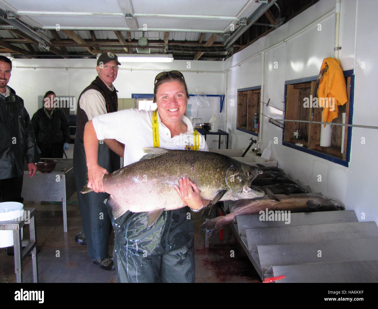 eddiesfisheriesfws 11194632935 Summer Chinook spawning at Entiat NFH ...