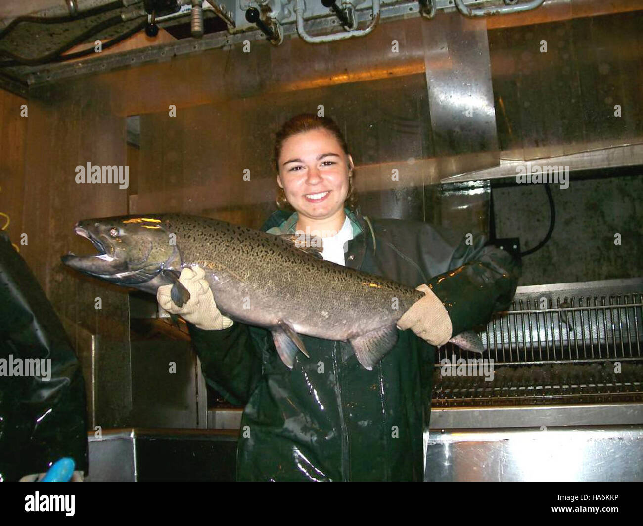 At the Little White Salmon National Fish Hatchery in Washington ...