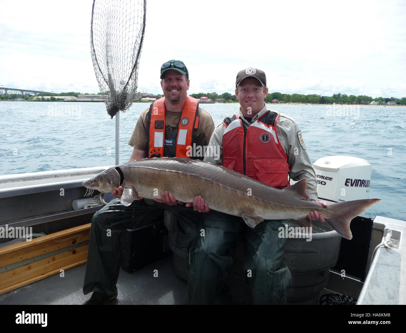 Fish biologists from the U.S. Fish and Wildlife Service and Ontario ...