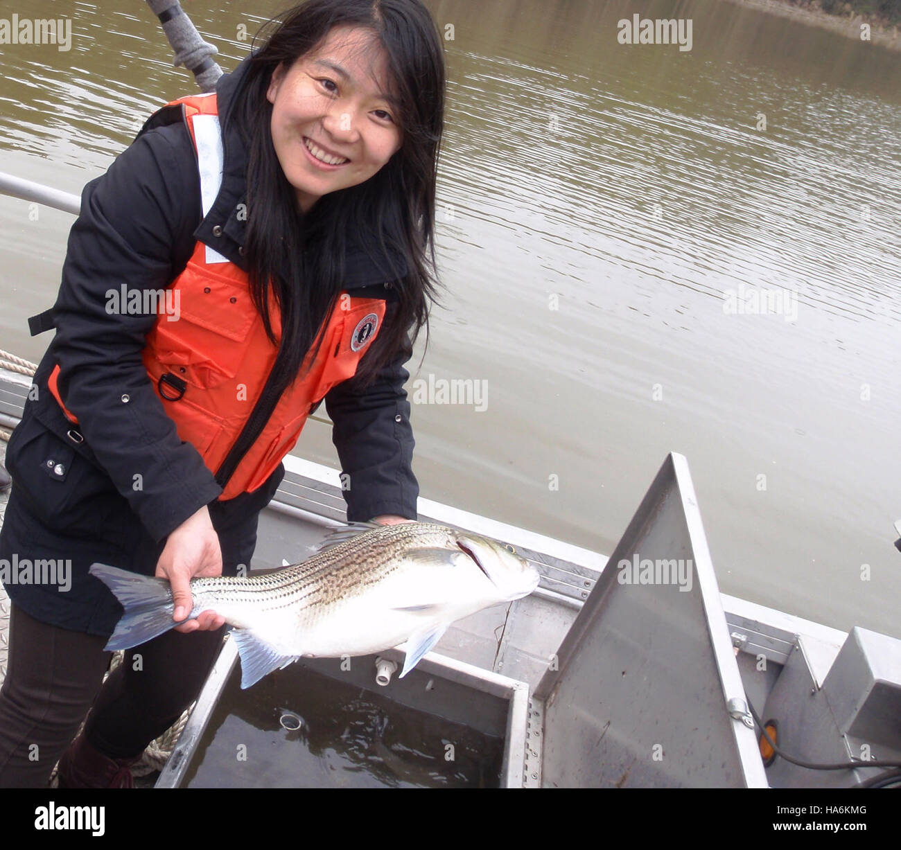 Electrofishing is a technique used by wildlife researchers to capture ...