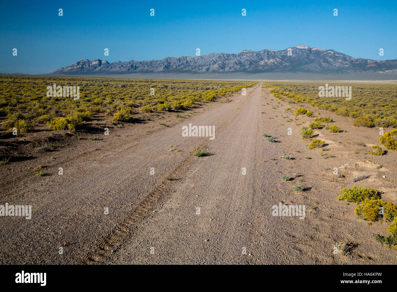 Basin and Range National Monument in Nevada is known for its unique ...