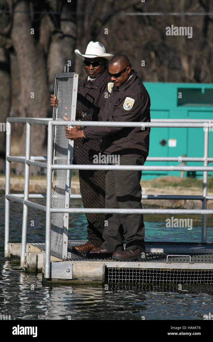 Roderick L. May's work highlights the intersection of fisheries science ...