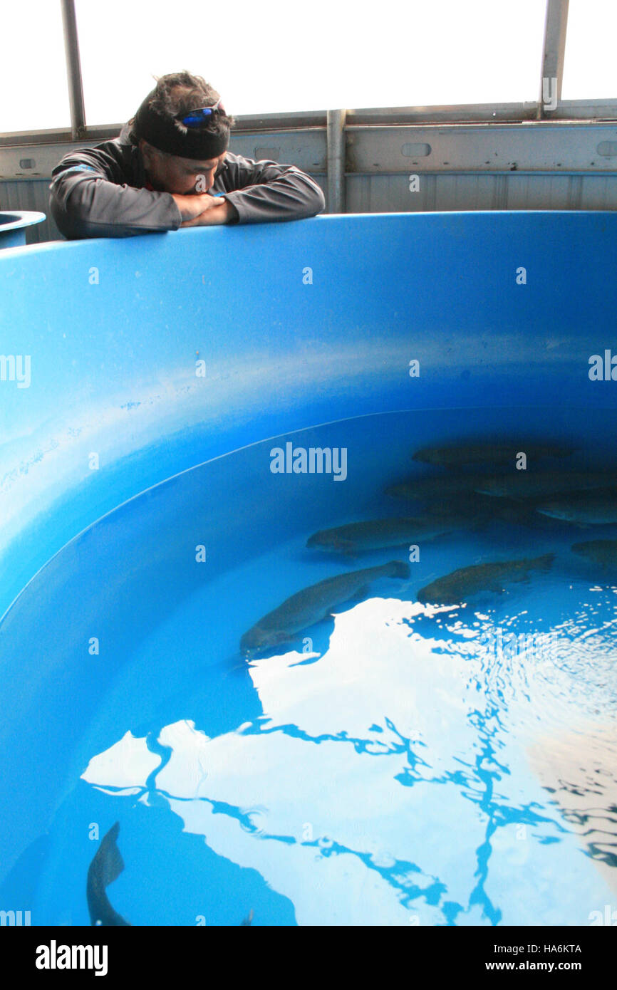 A tour of the Freshwater Institute highlights ongoing efforts to ...