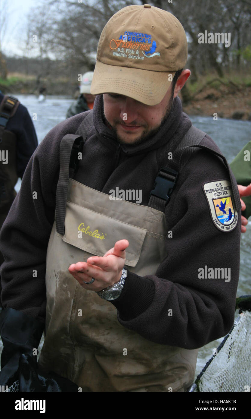 Eddie's Fisheries focuses on identifying and monitoring wild fish ...