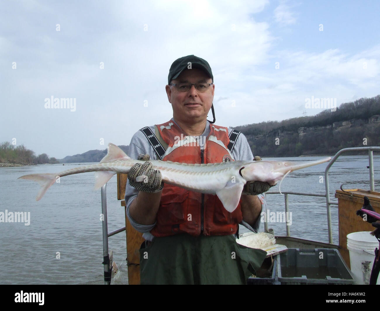 Chris Egbert, a volunteer at the Columbia Fish and Wildlife ...