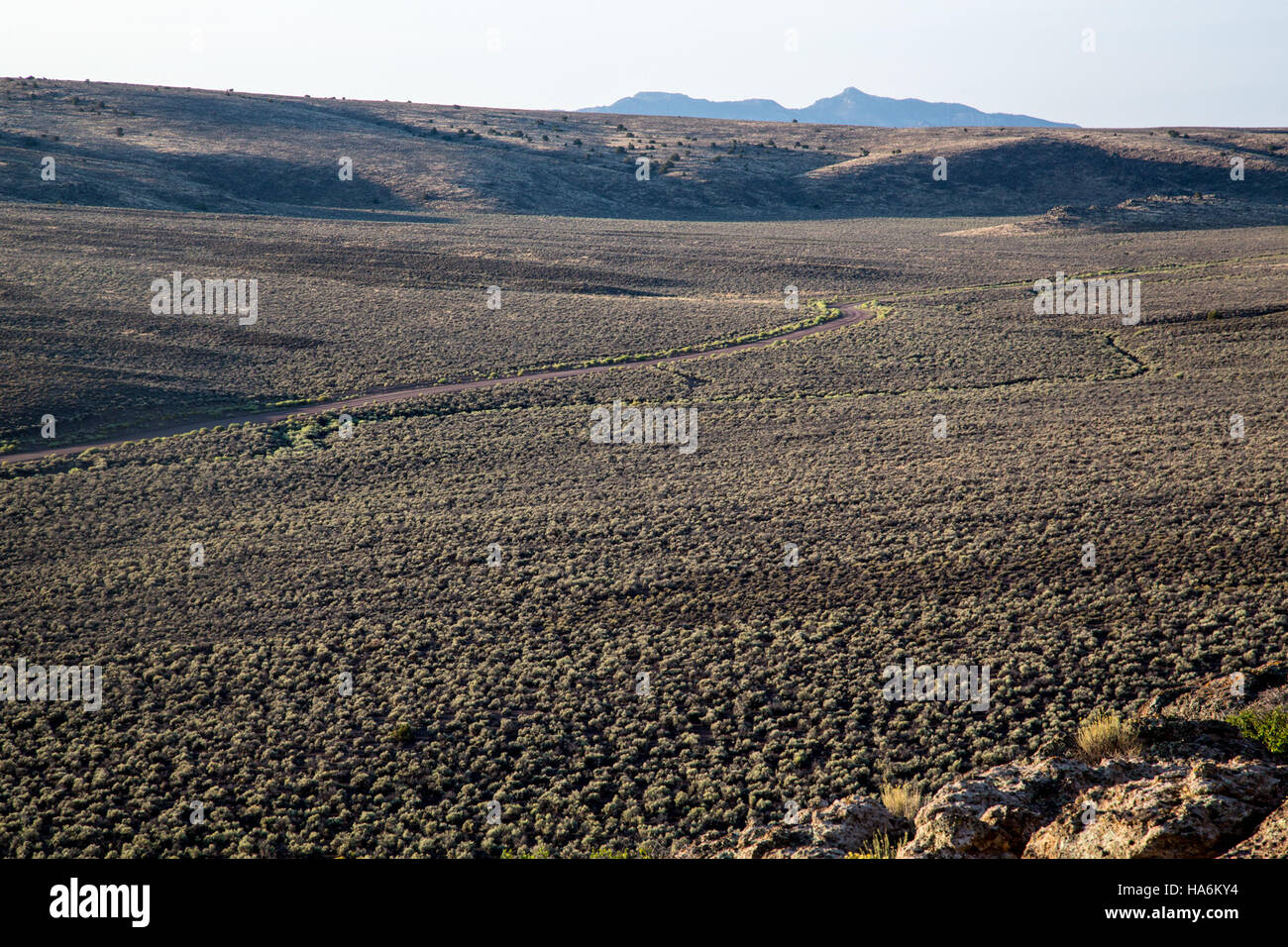 Basin and Range National Monument, managed by the Bureau of Land ...