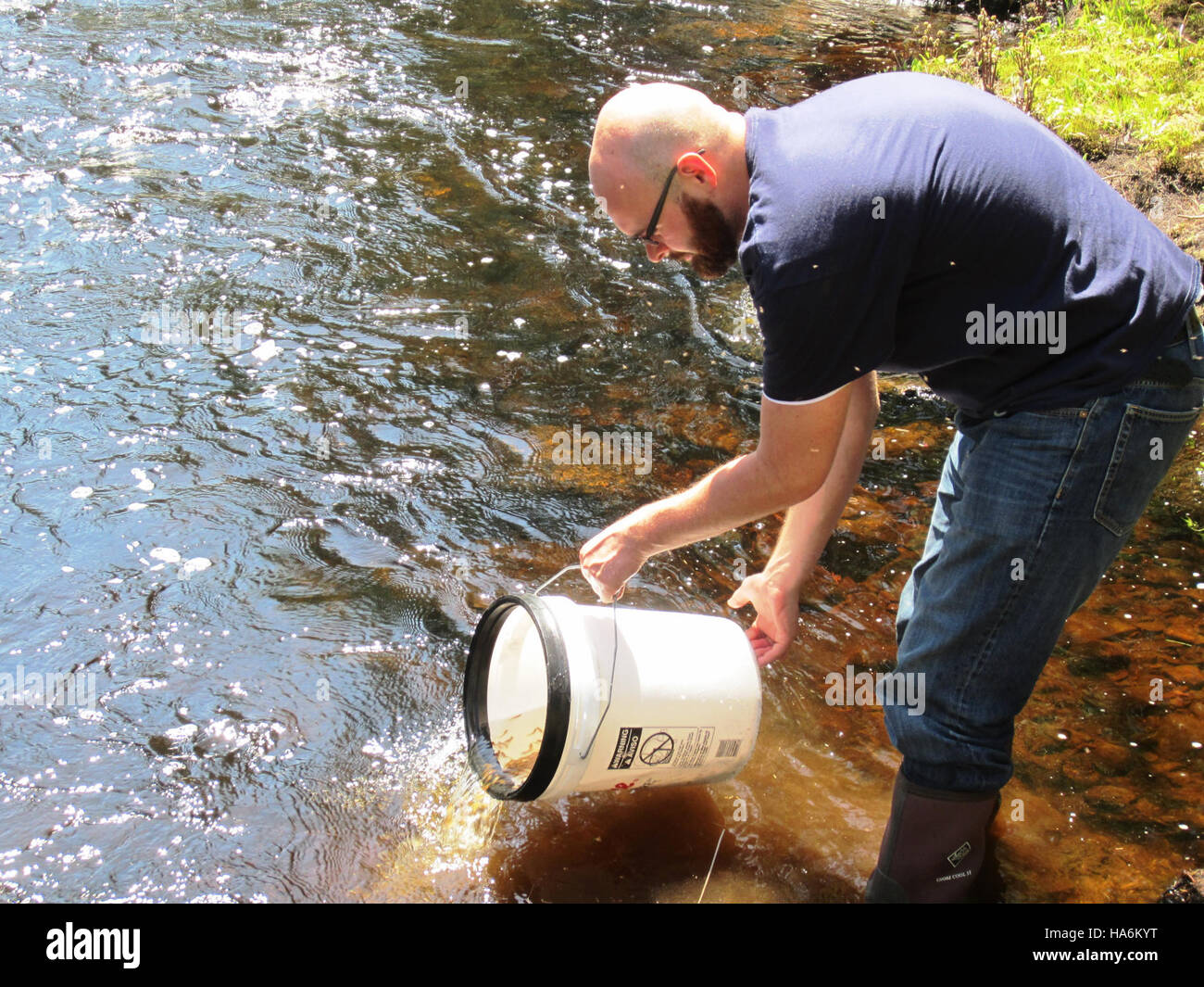 An intern with the Student Conservation Association releases juvenile ...