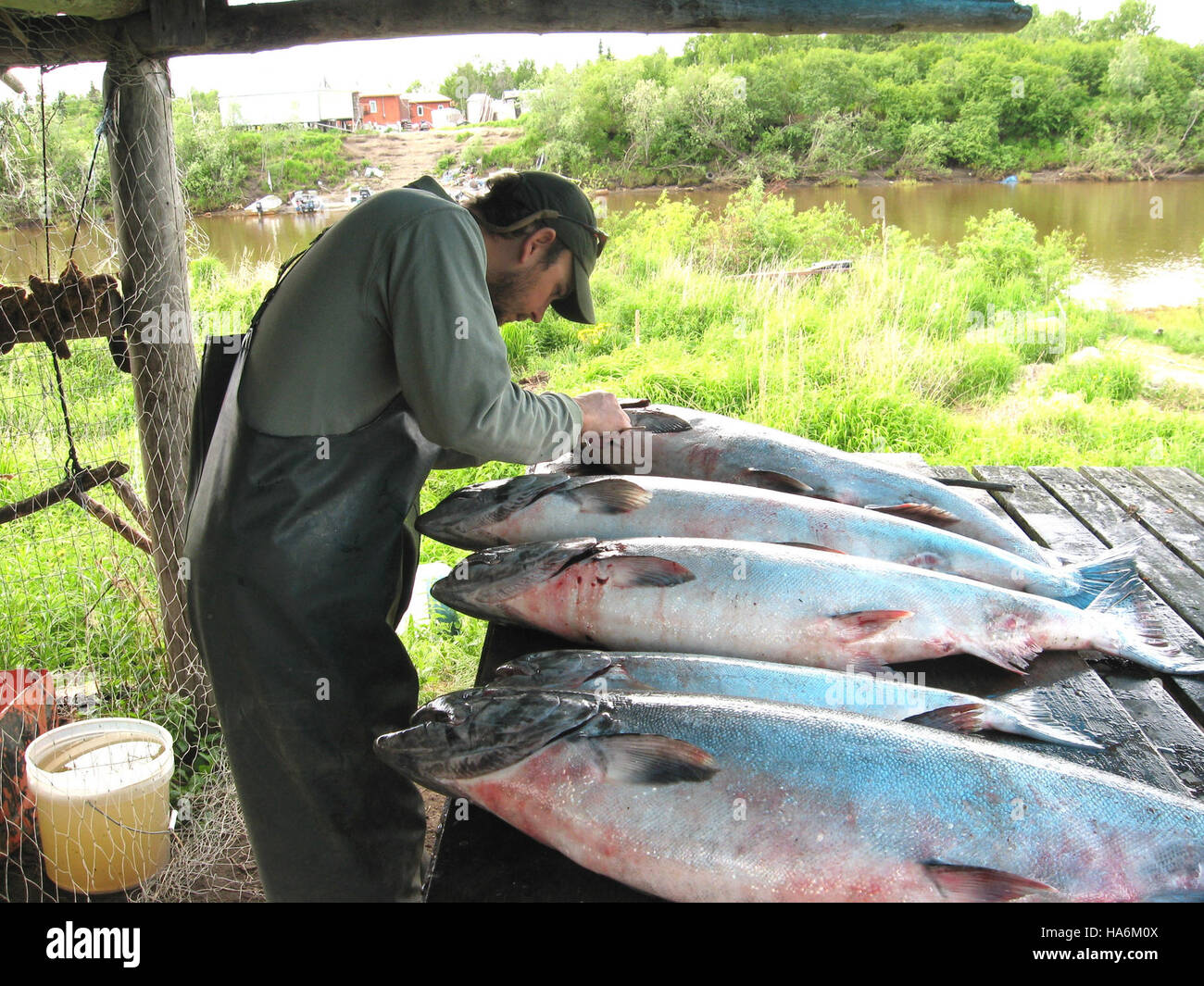 eddiesfisheriesfws 21295491746 Andy Trent of the Kenai Fish and ...