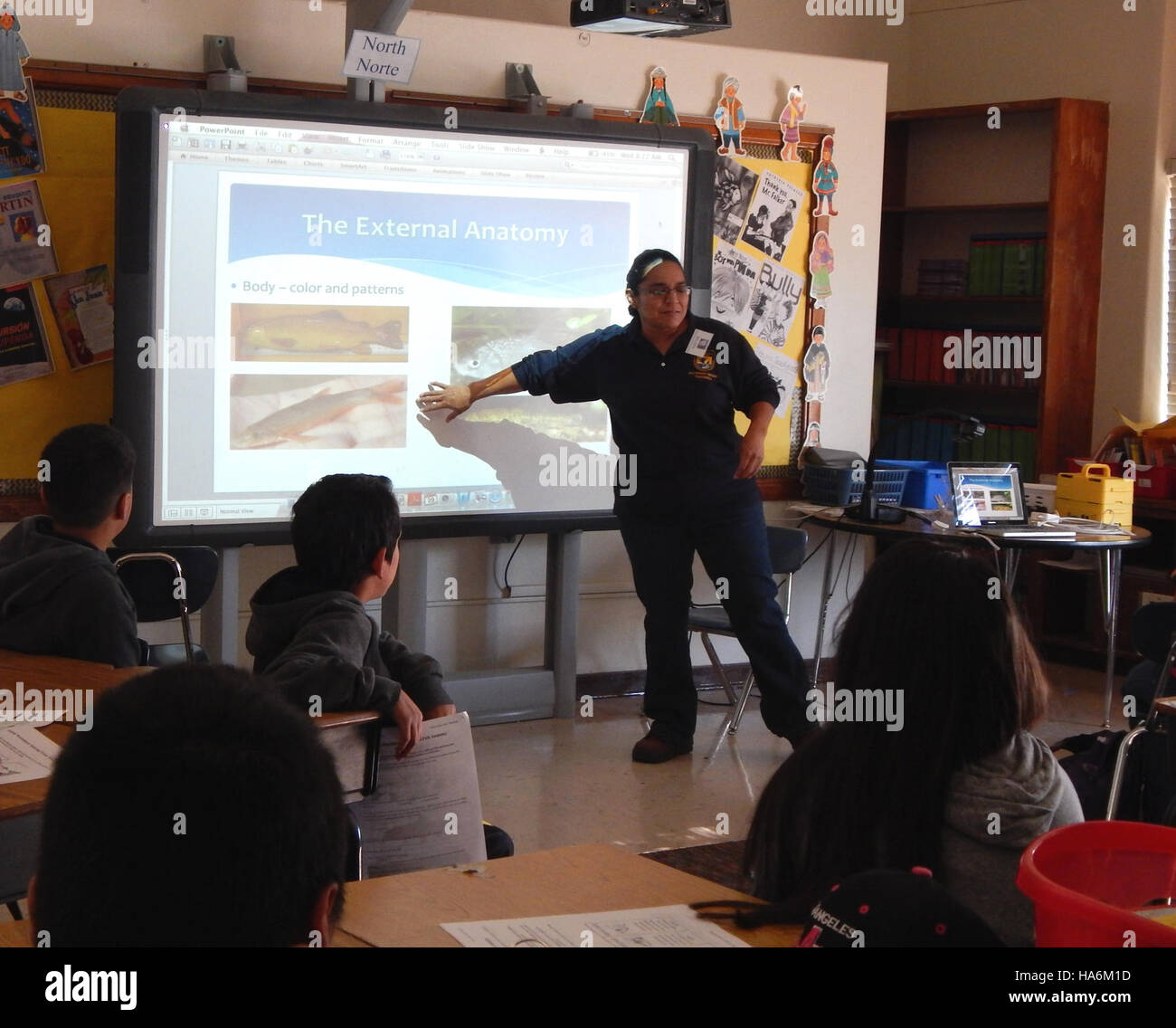 Terminology hi-res stock photography and images - Alamy