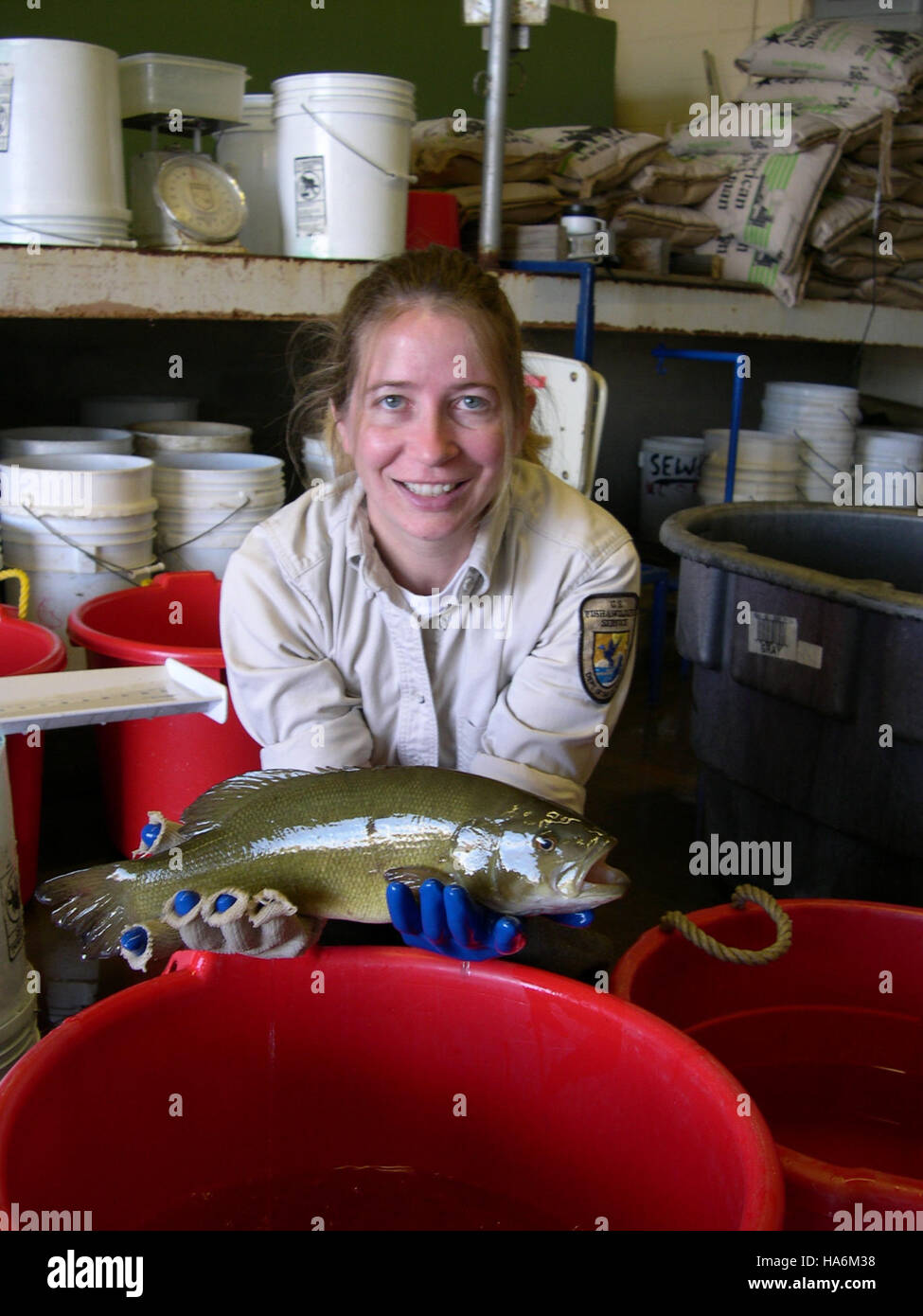 Research us fisheries and wildlife service hi-res stock photography and ...