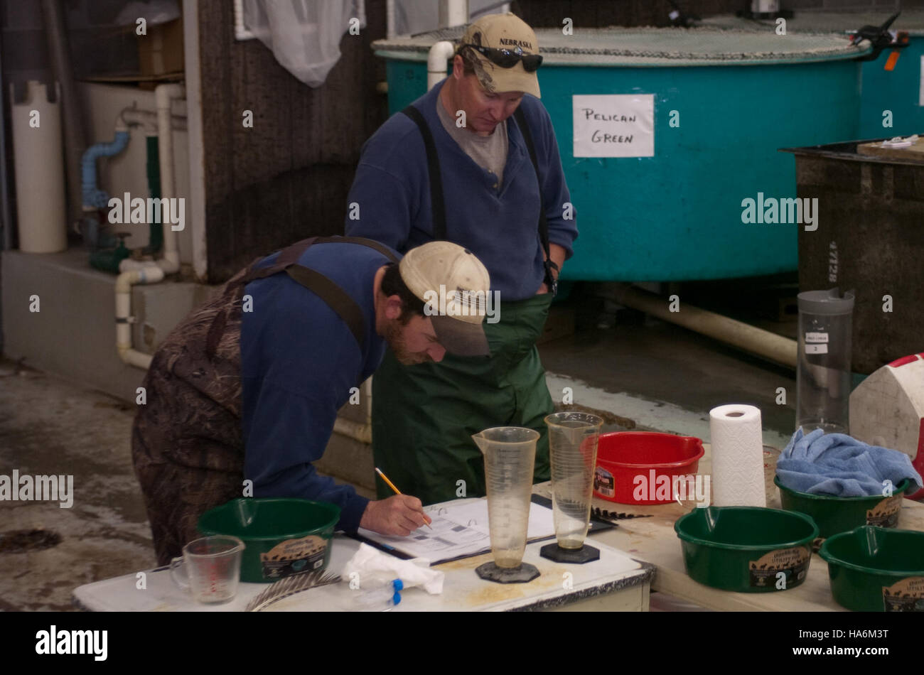 A U.S. Fish and Wildlife biologist records data on Aqui-S 20E, used for ...