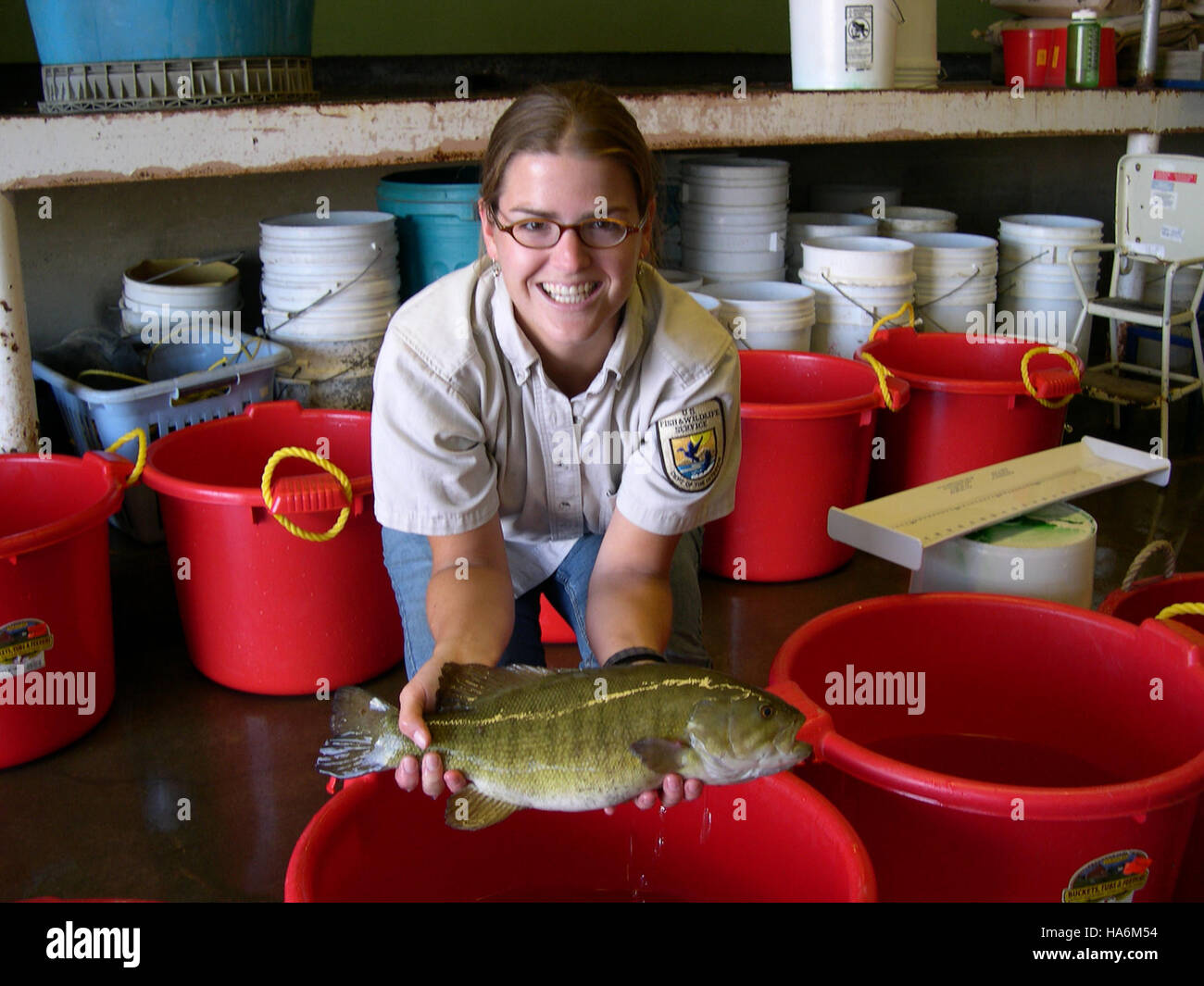 Molly and a smallmouth bass are sedated for a study on Investigational ...