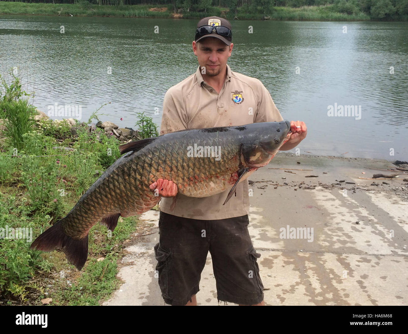 Invasive carp hi-res stock photography and images - Alamy