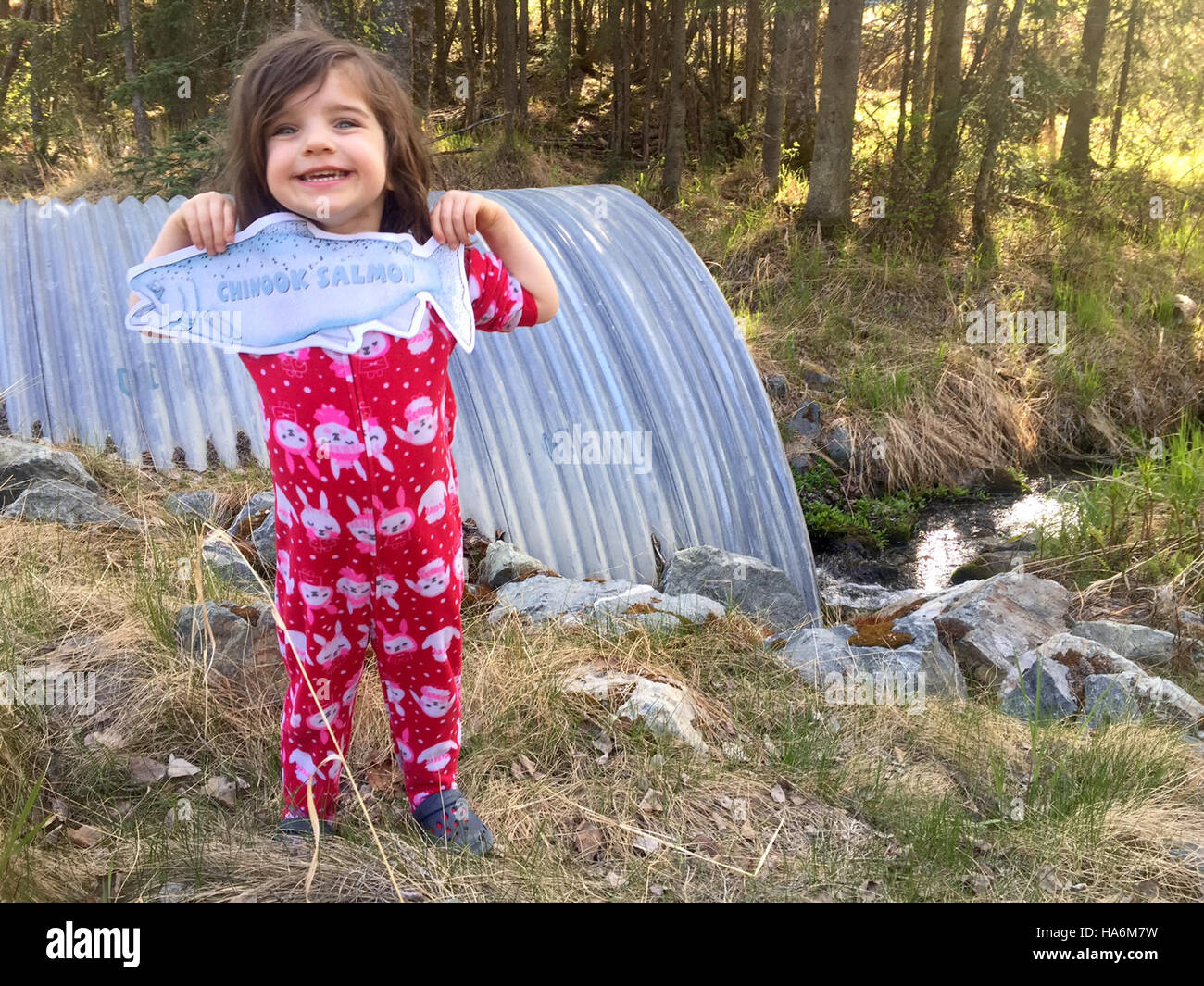 Chinook Salmon, a vital species for ecosystems and fisheries, is the ...