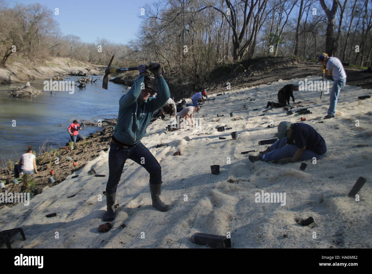 A planting day event at a dam removal site, aimed at restoring the ...
