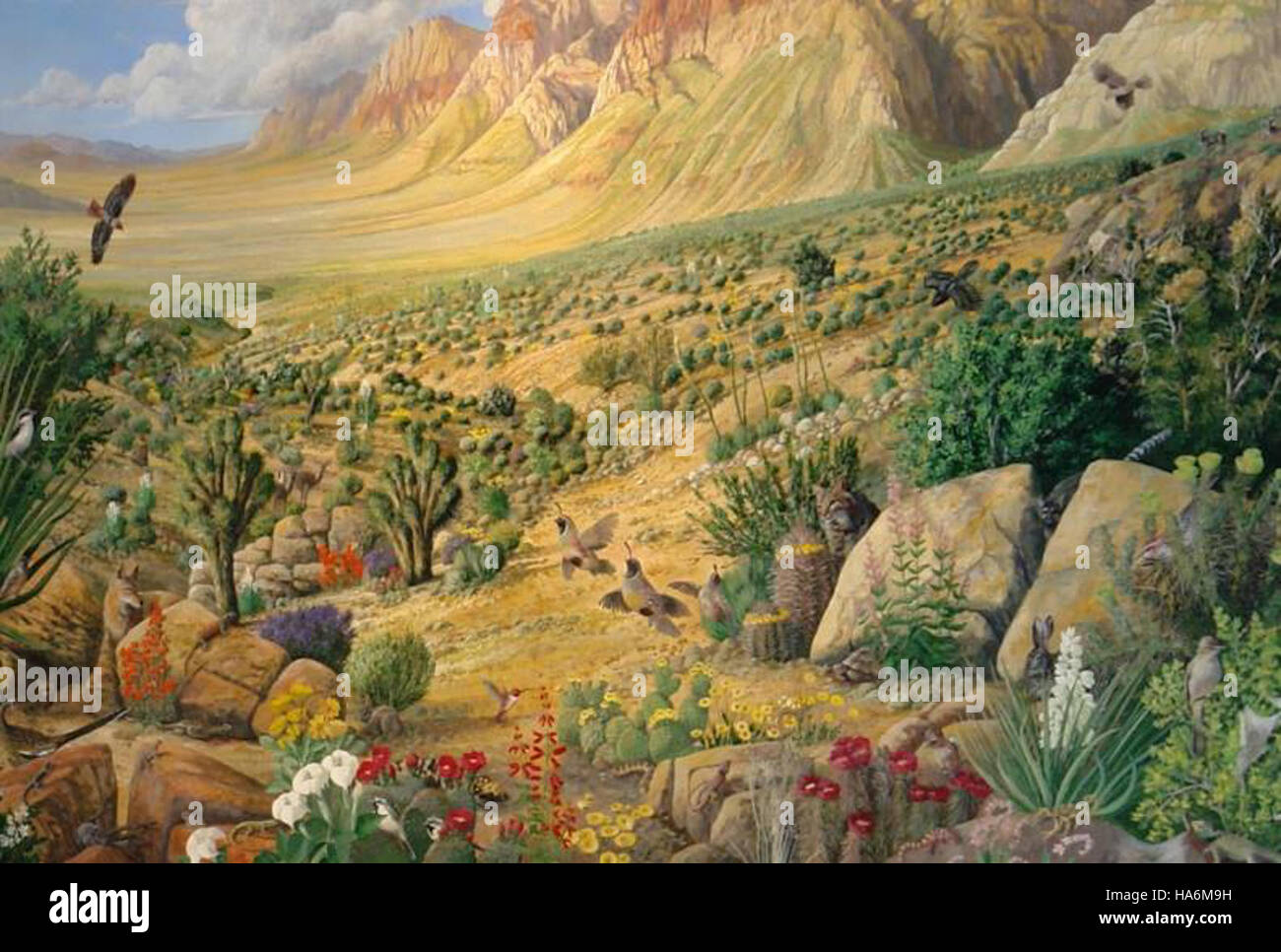 Red Rock Canyon National Conservation Area in Nevada is a renowned ...