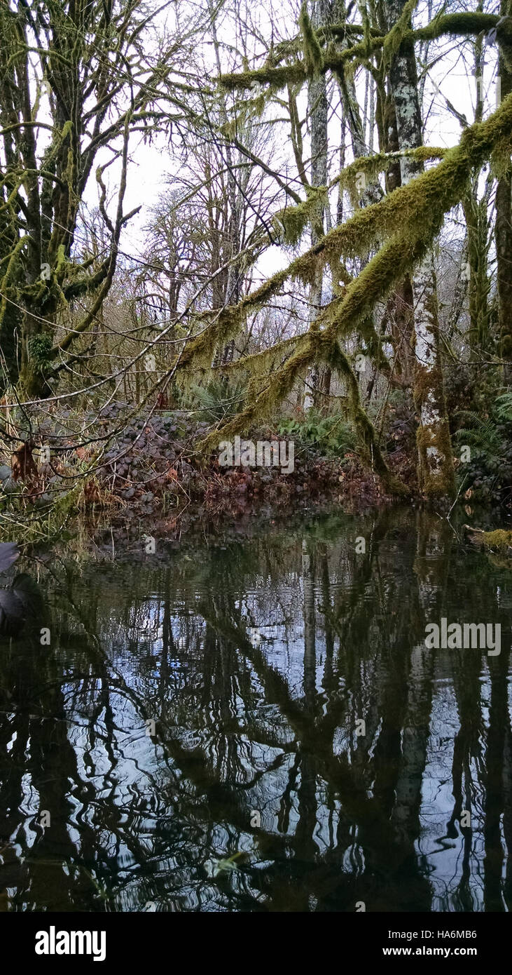 Forest Pond in the National Park is a focus of environmental research ...