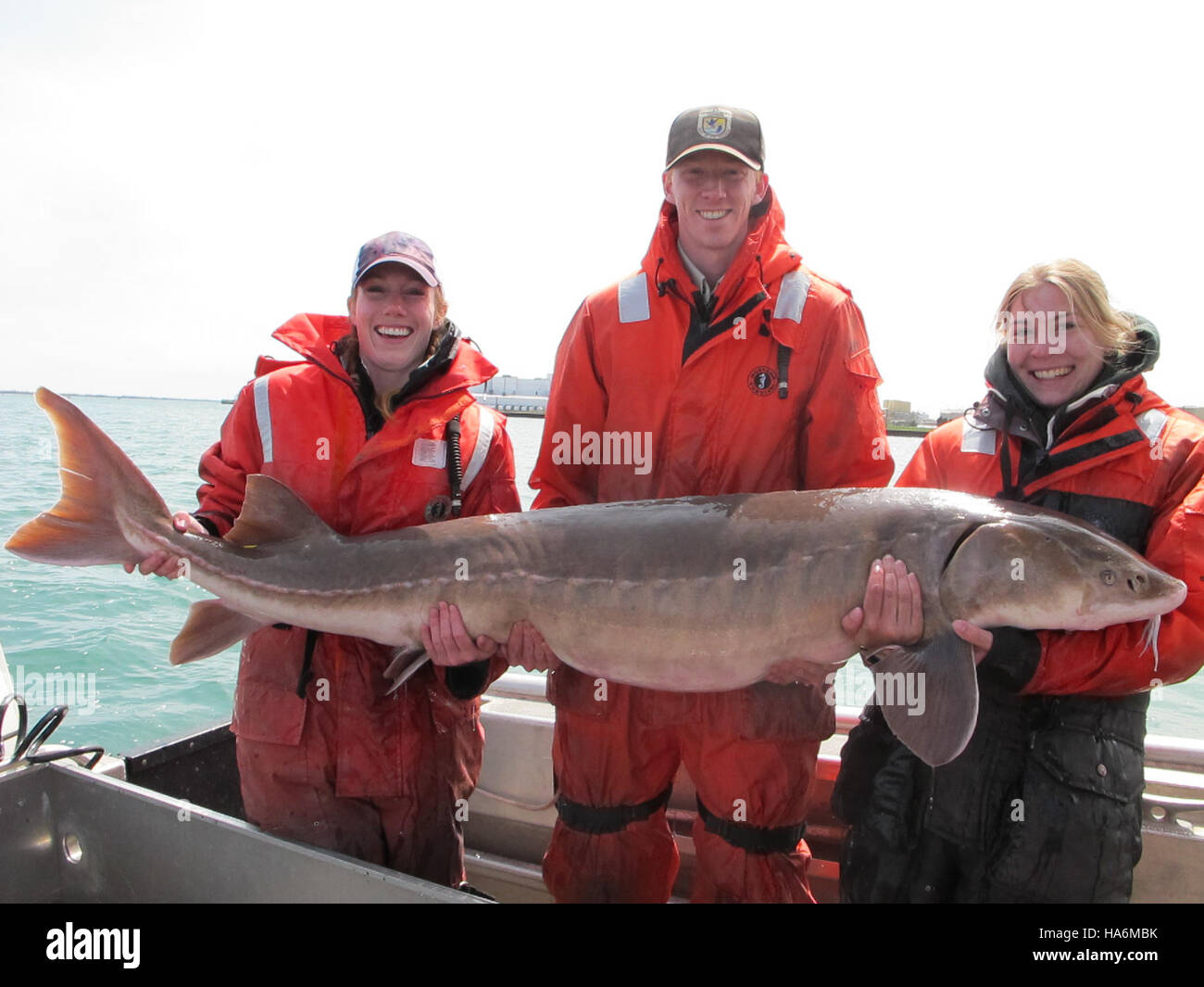 Biologists usfws hi-res stock photography and images - Alamy