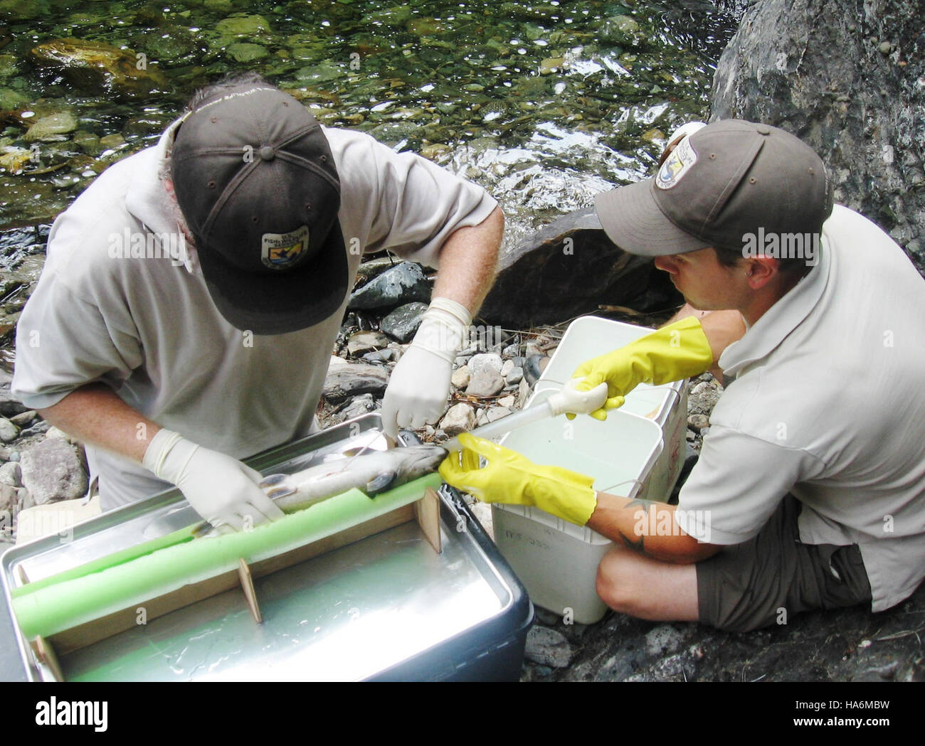 Biologists national park hi-res stock photography and images - Alamy