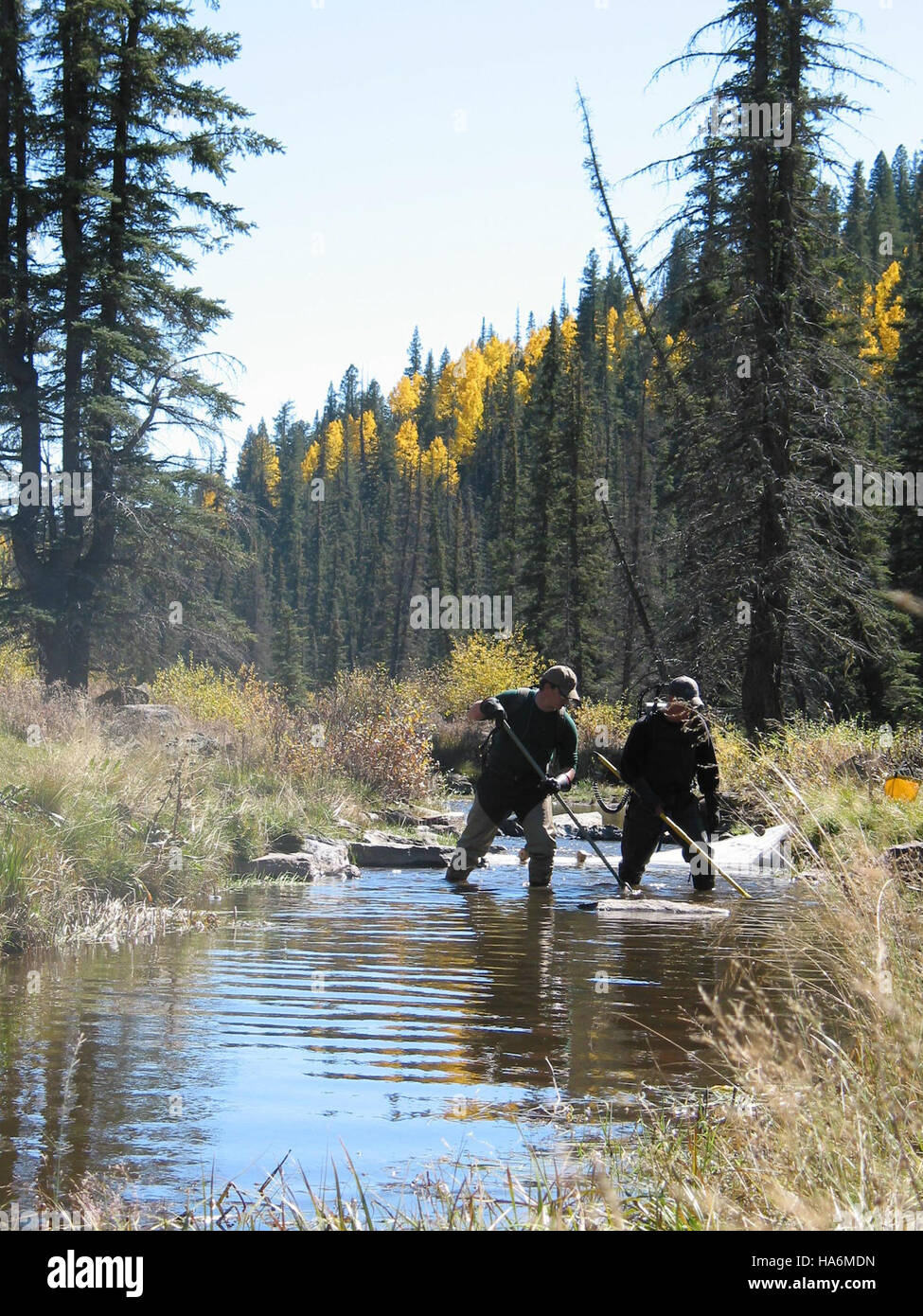 Chasing Apache Trout is an initiative focused on protecting and ...