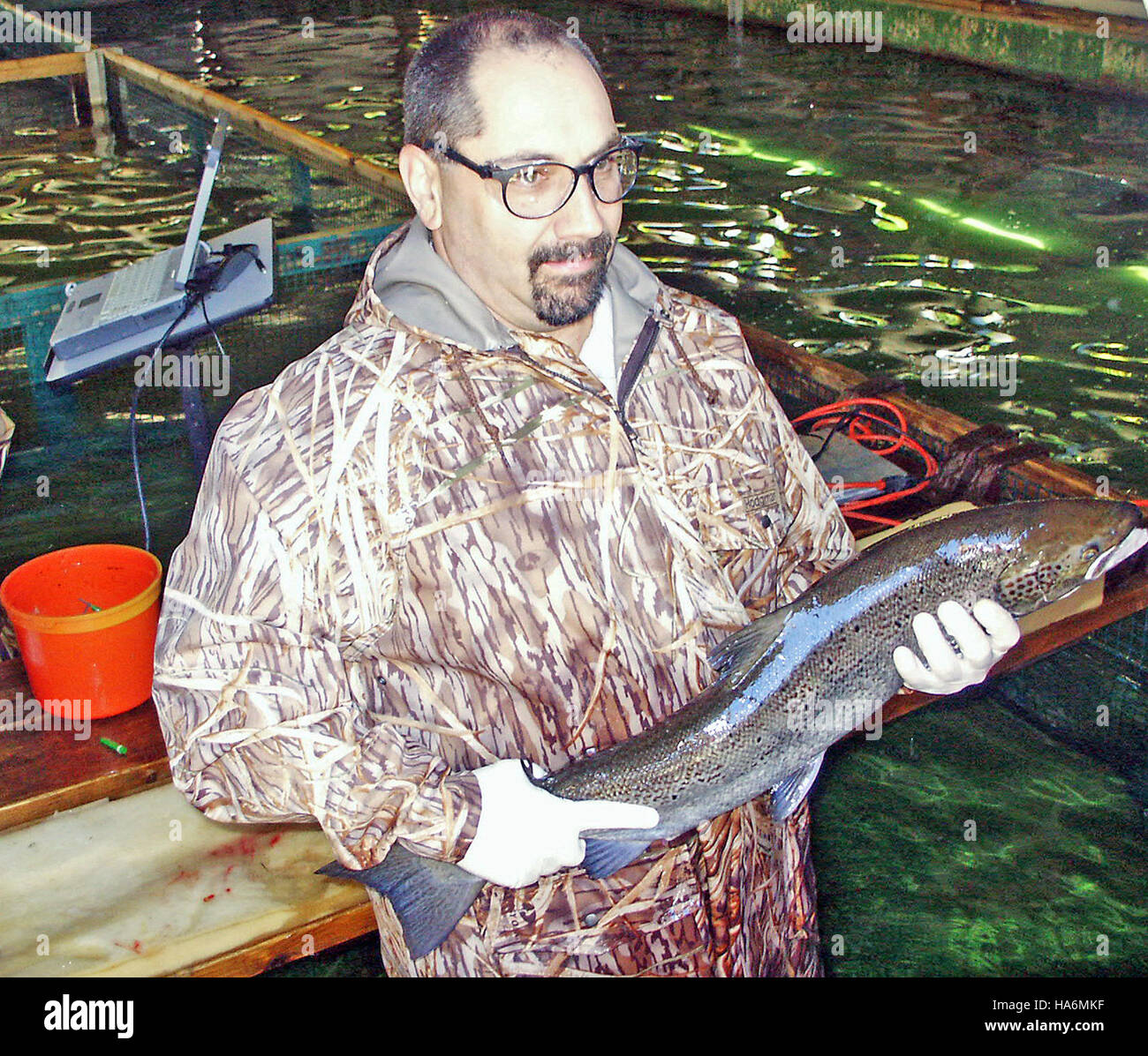 John Coll, a fish health biologist, is pictured with Atlantic salmon at ...