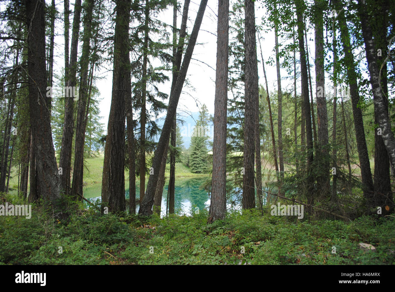 A new initiative will create a Nature Explore area dedicated to ...