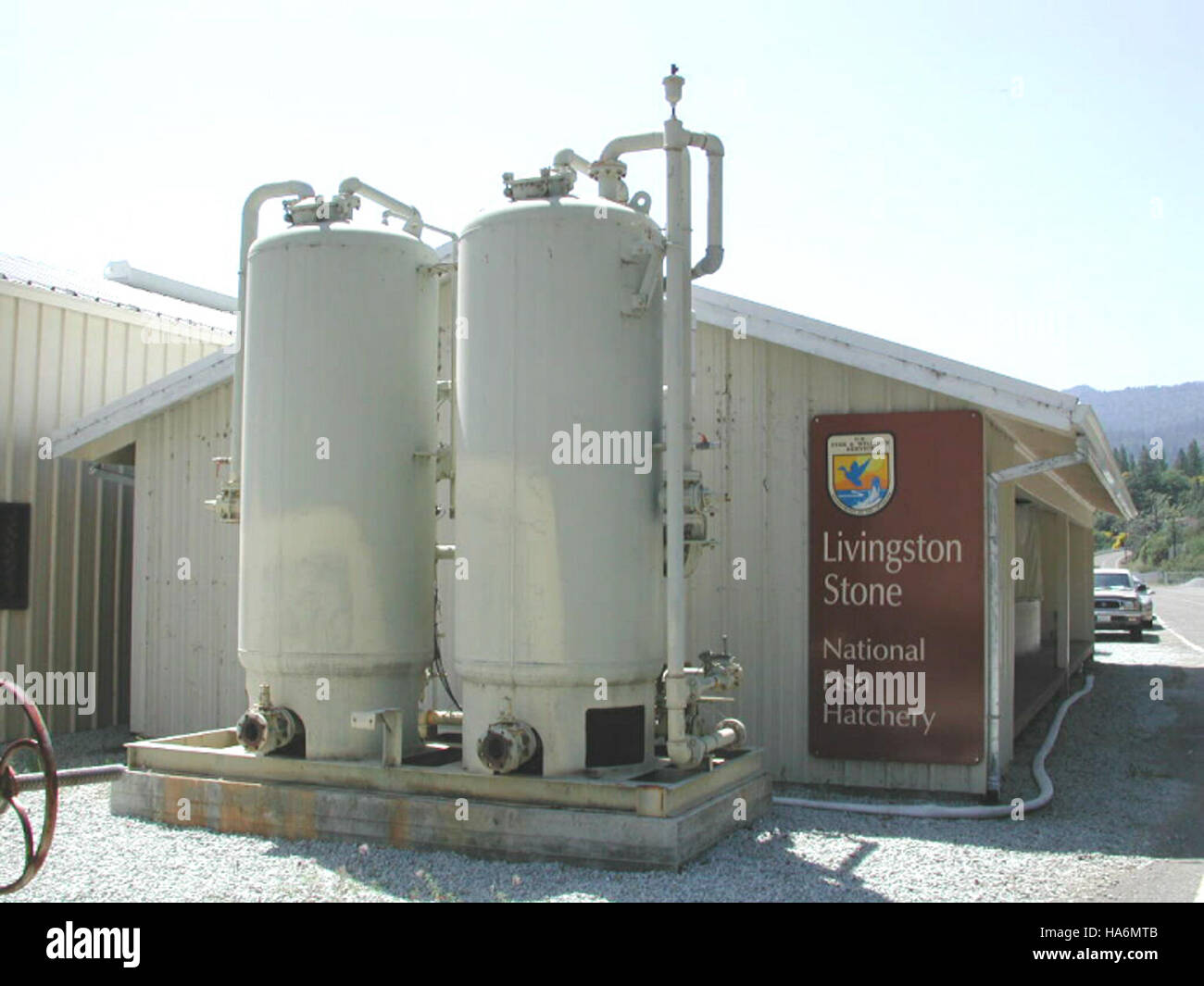 Livingston Stone National Fish Hatchery in California plays a key role ...