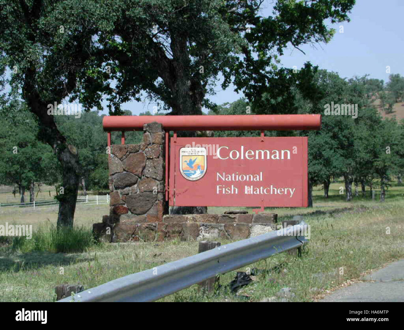 Coleman National Fish Hatchery (NFH) in California plays a key role in ...