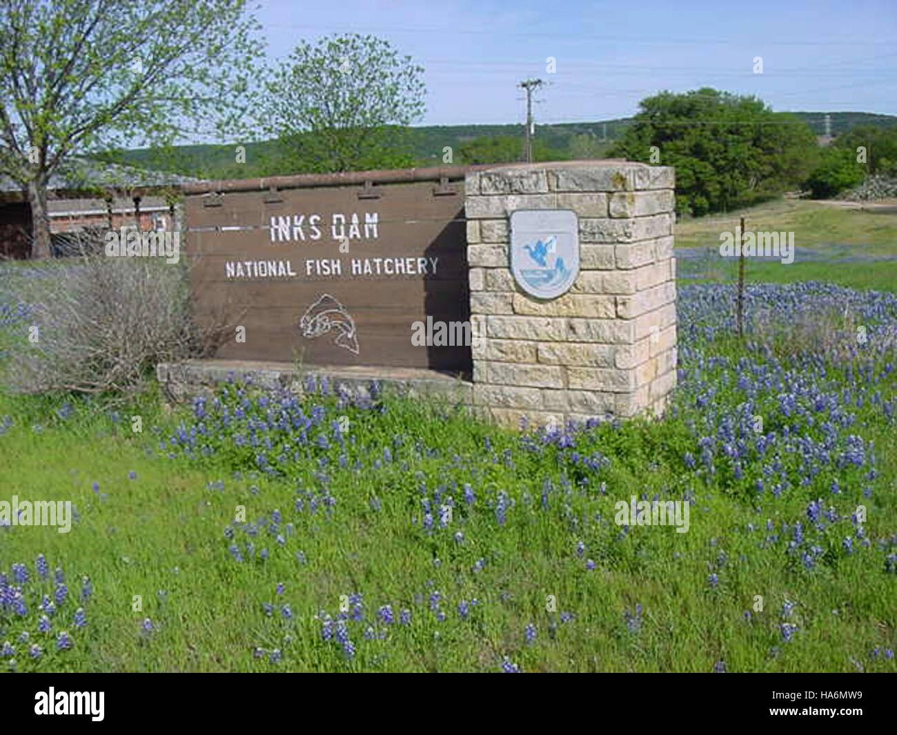 Inks Dam National Fish Hatchery in Texas plays a key role in preserving ...