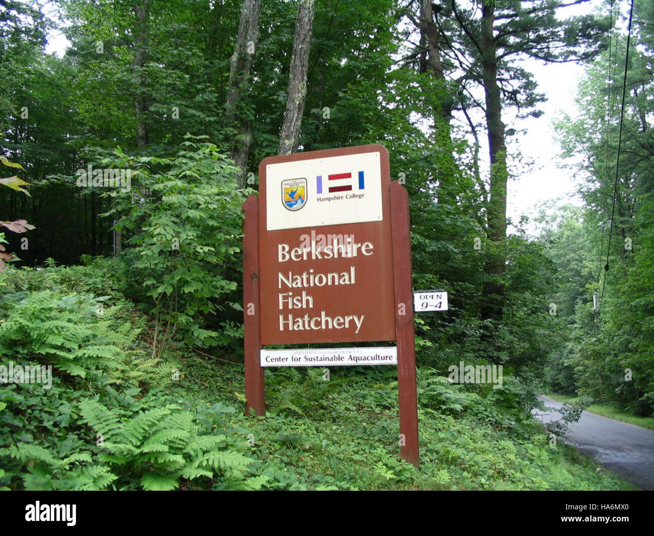 The Berkshire National Fish Hatchery in Massachusetts is focused on ...