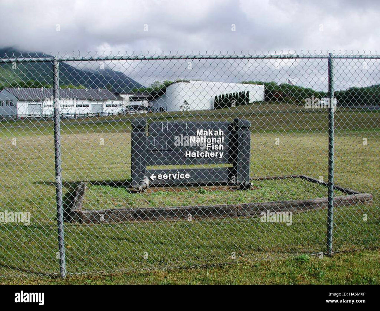 Makah National Fish Hatchery in Washington plays a crucial role in ...