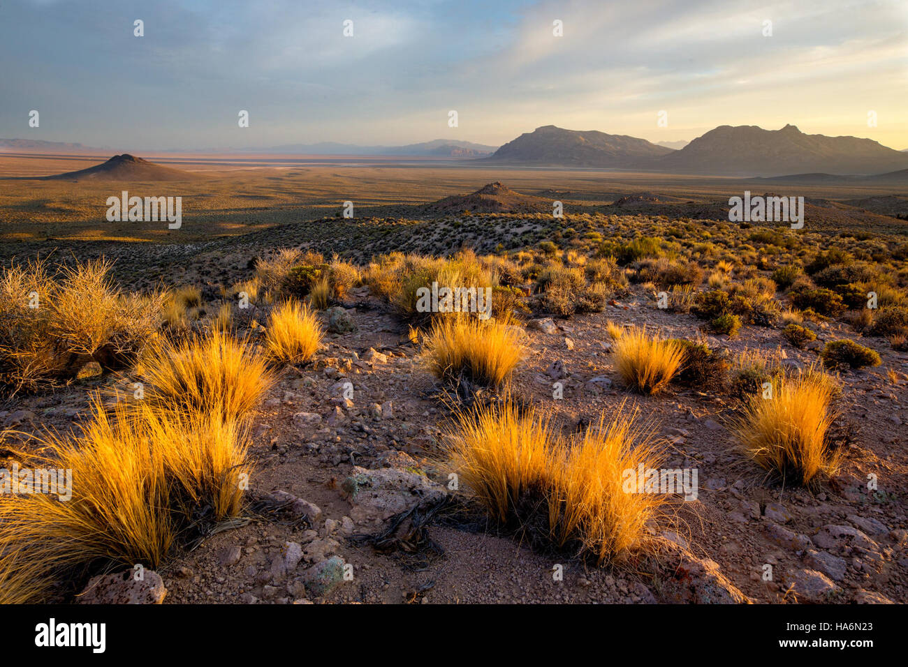 The Basin and Range National Monument showcases Nevada's vast and ...
