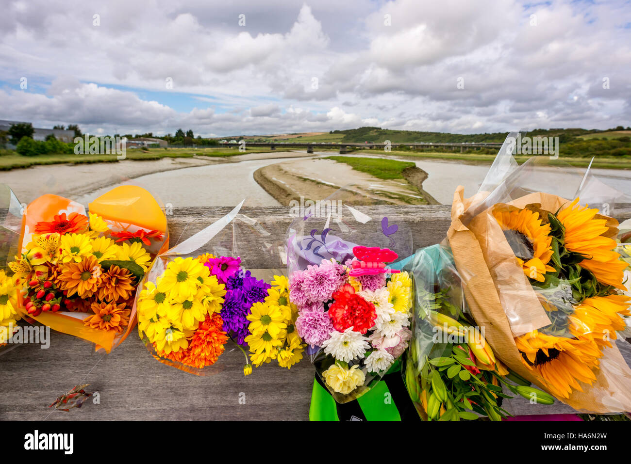 The scene on Shoreham Old Toll Bridge after the Shoreham air disaster ...