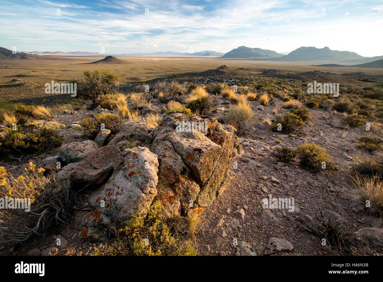 The Basin and Range National Monument, located in Nevada, is a ...