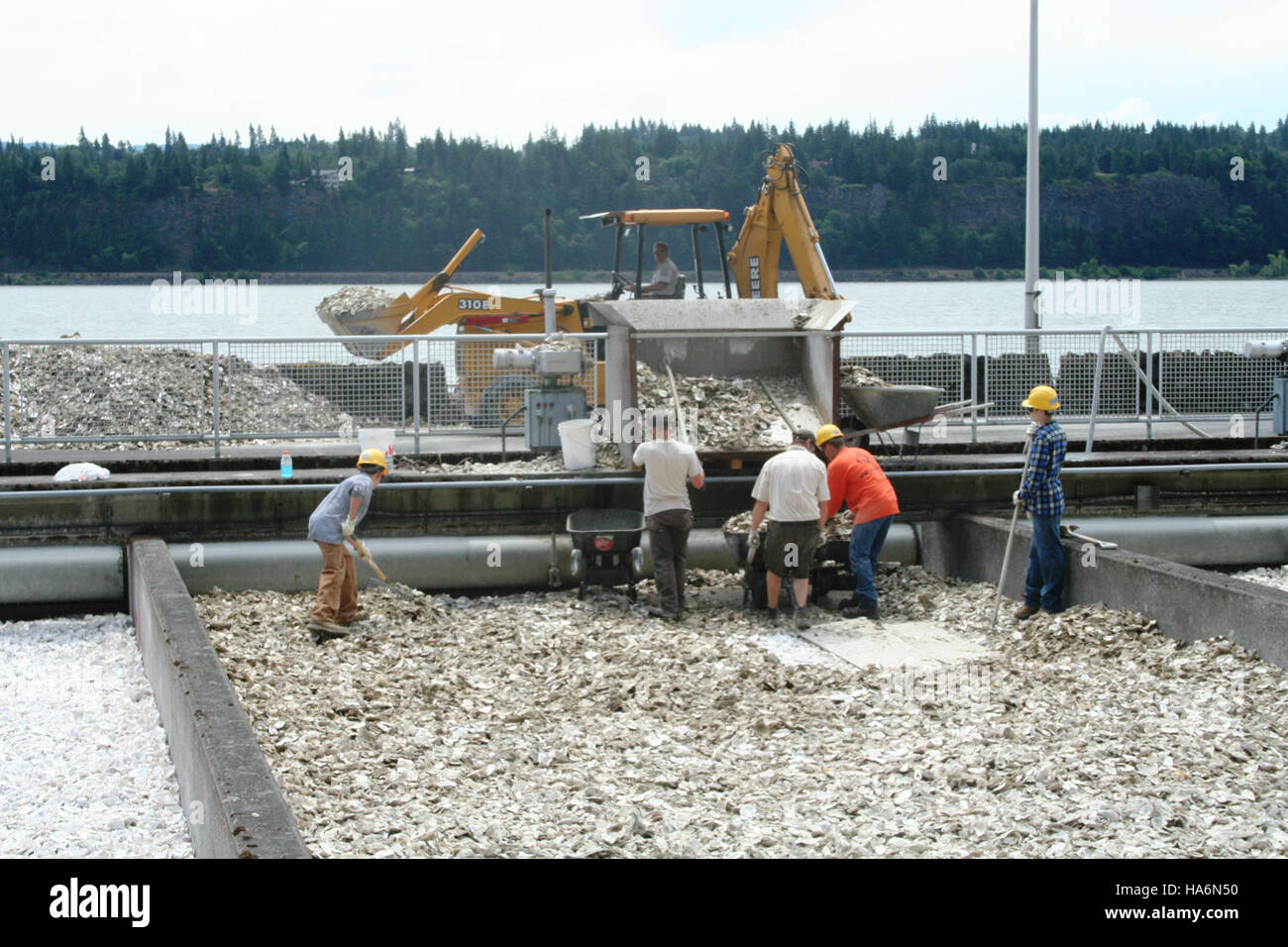 Loading shells hi-res stock photography and images - Alamy