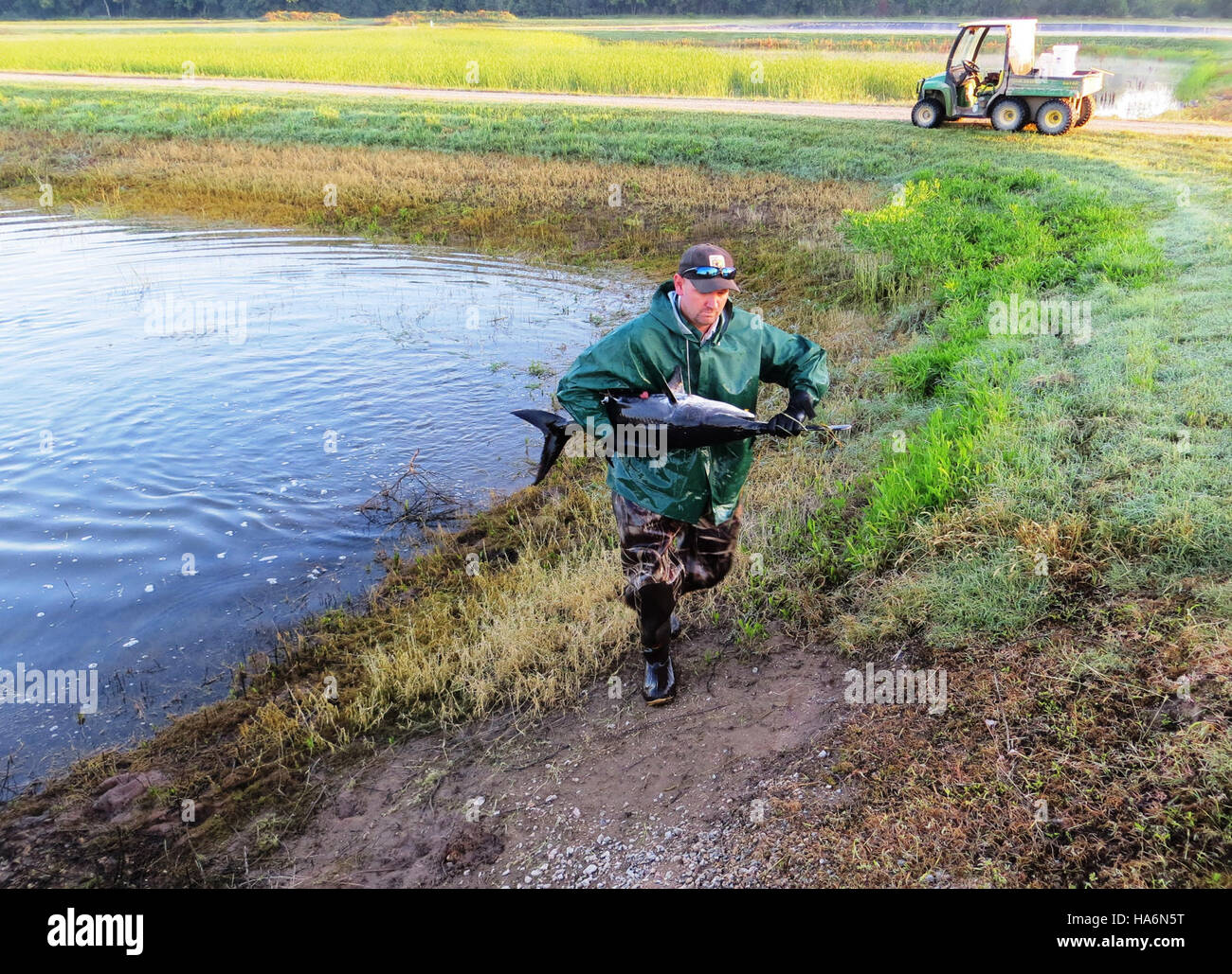eddiesfisheriesfws 8569923981 Fish Biologist Brian Fillmore carrying an ...